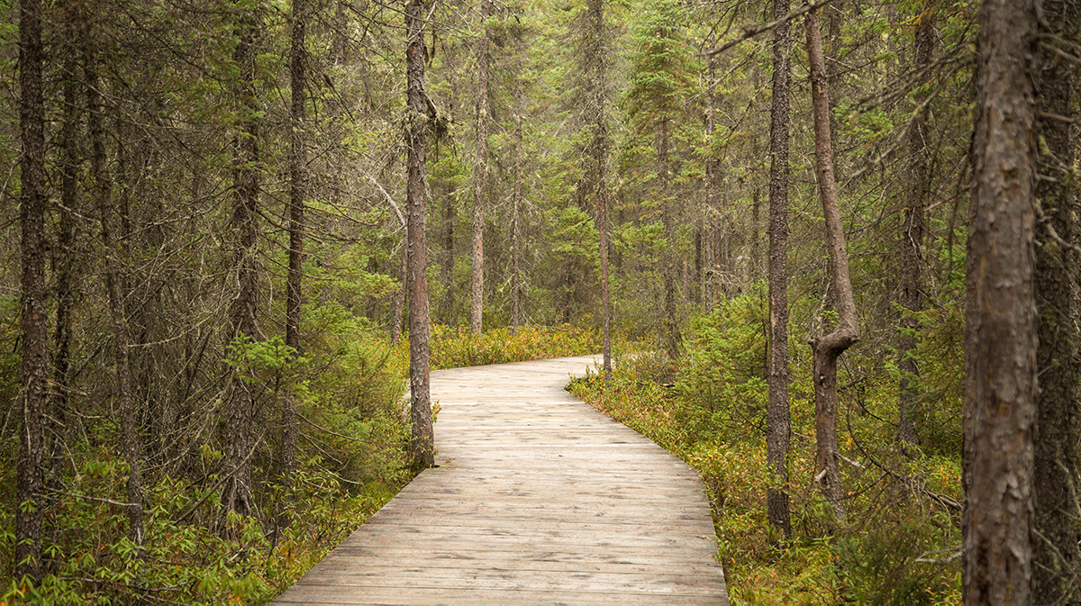 Ontario Getaways - Best Weekend Getaways - Muskoka Packages & Deals