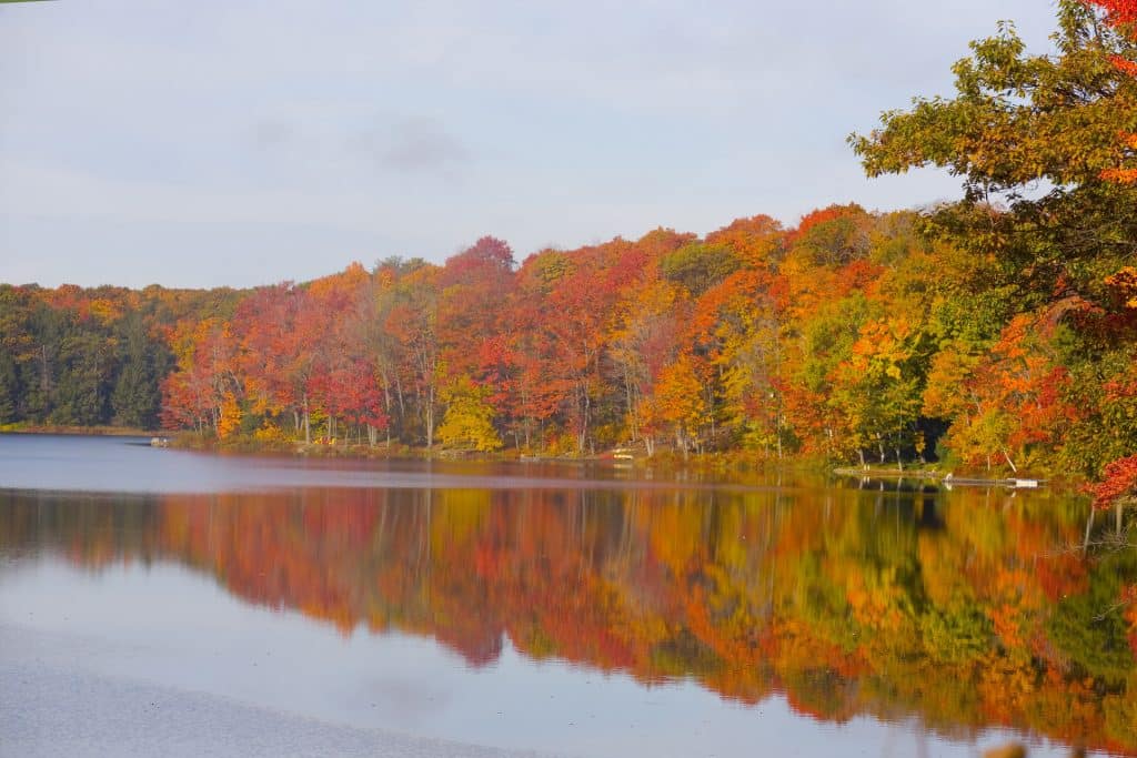 Fall Colours have ARRIVED in Muskoka - Muskoka Tourism