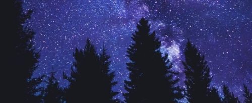 Arrowhead Provincial Park - Discover Muskoka: Plan Your Trip