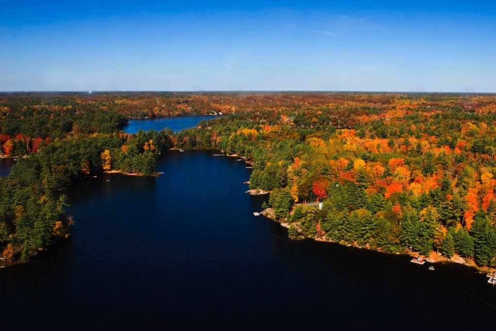Fall Colours have ARRIVED in Muskoka - Muskoka Tourism