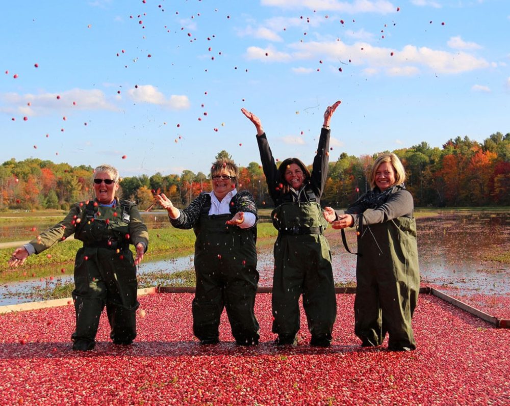 Explore Some of Canada's Best Fall Colours in Muskoka, ON