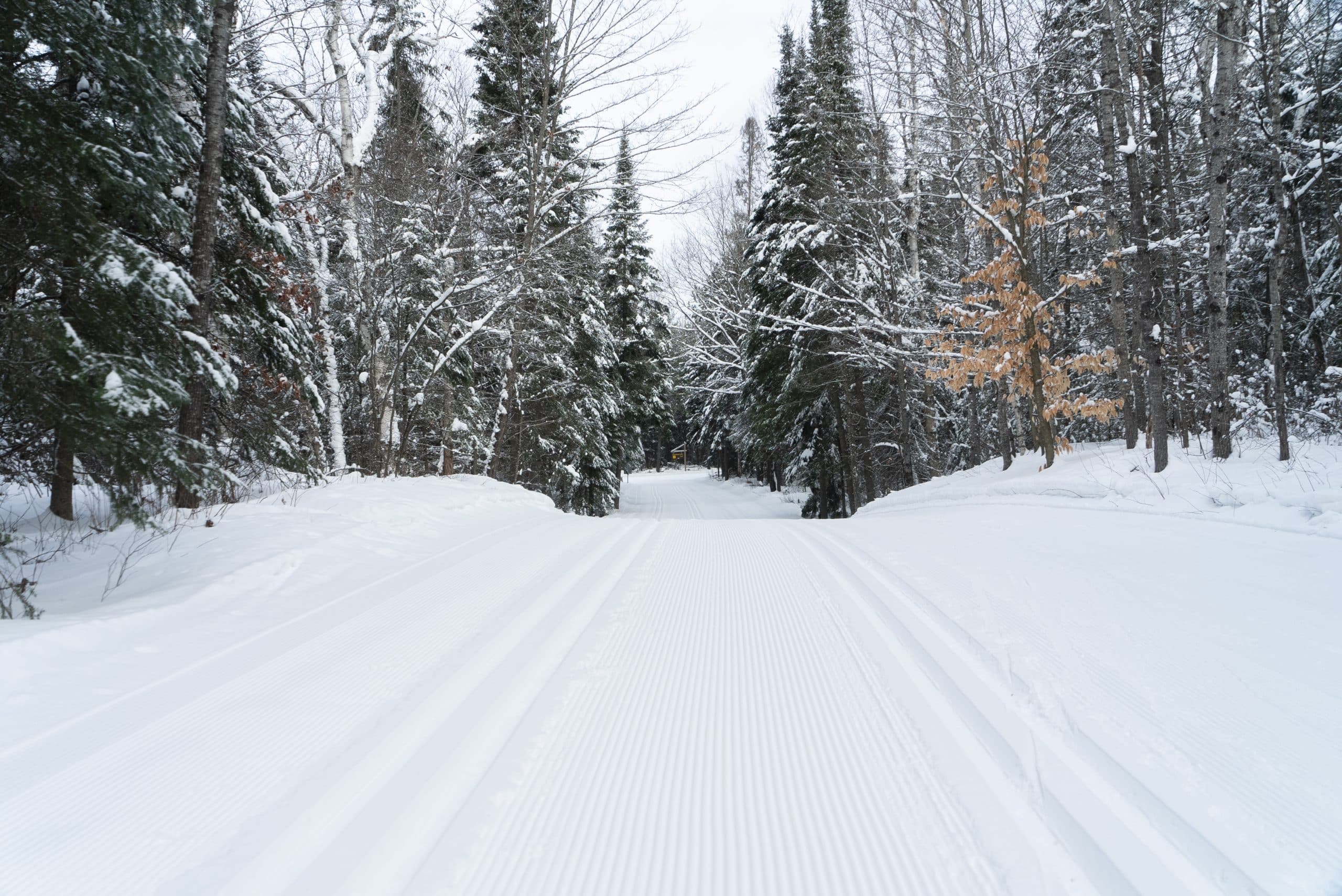 5 Winter Wonderland Getaways to Huntsville, ON - Discover Muskoka: Plan ...