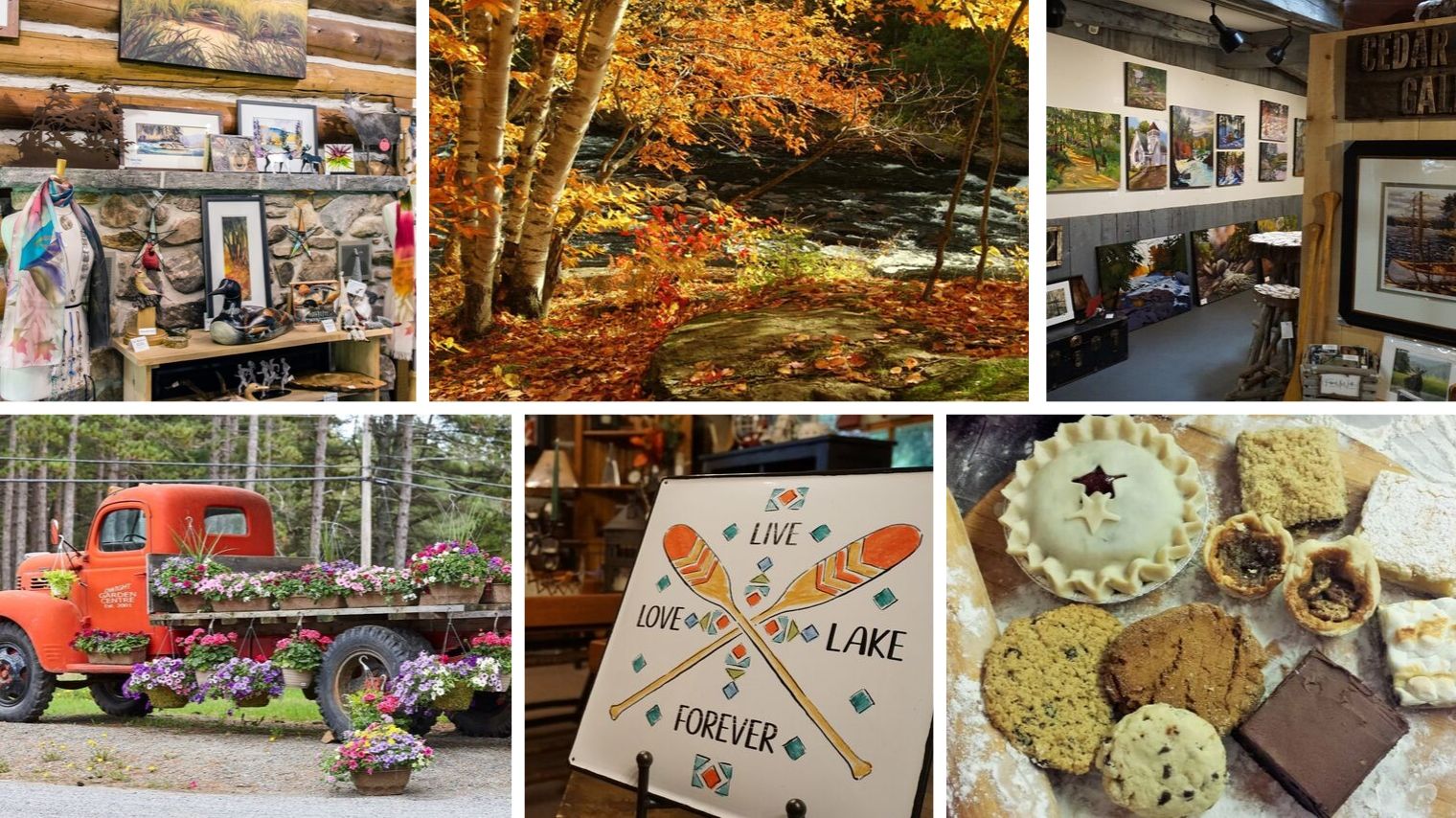 A Delightful Day in Dwight - Discover Muskoka: Plan Your Trip