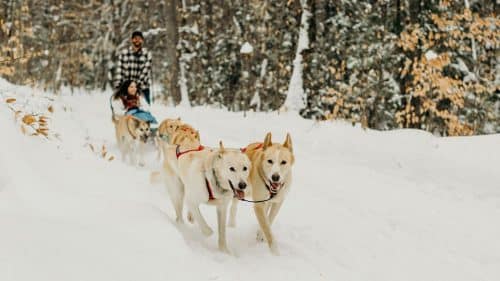 Top 10 Must-Do Winter Activities in Muskoka