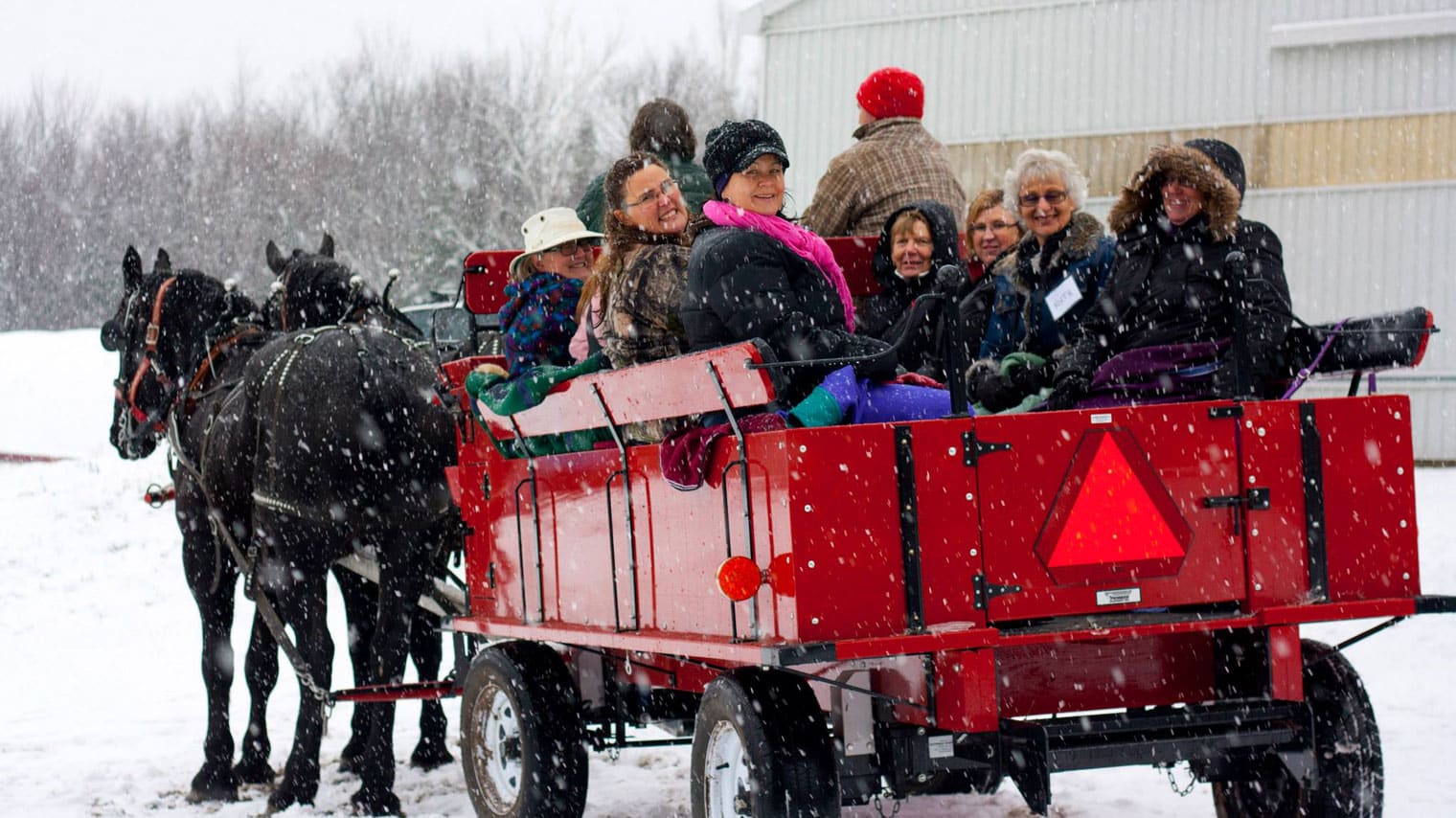 A Magical Winter Sleigh Ride - Discover Muskoka: Plan Your Trip