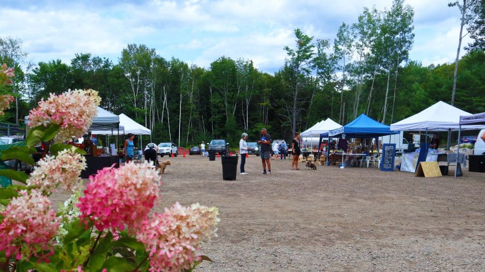 Prepare to be Bewitched by Beautiful, Beautiful Baysville - Discover ...