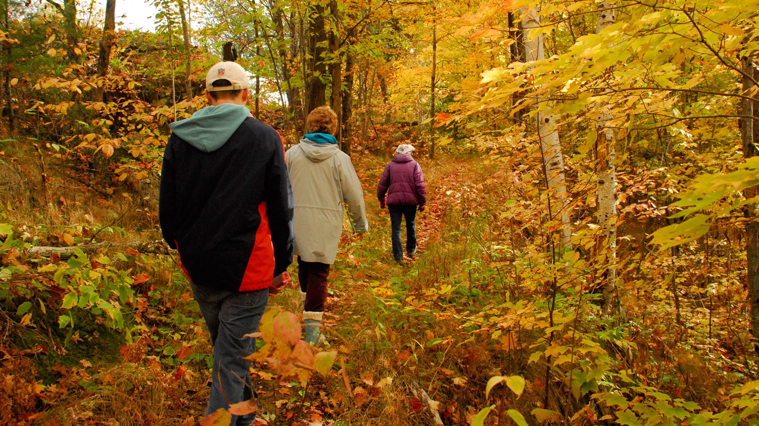 5 Must-Book Fall Resort Packages - Discover Muskoka: Plan Your Trip