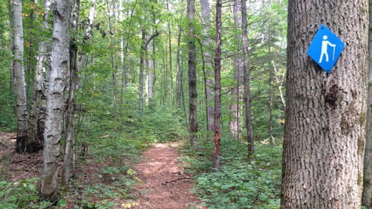 Autumn Hikes That Will Make You Fall in Love with Muskoka all over ...