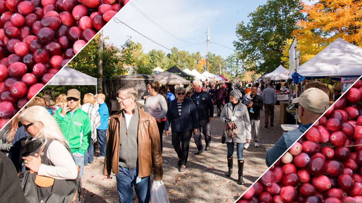 Bala Cranberry Festival