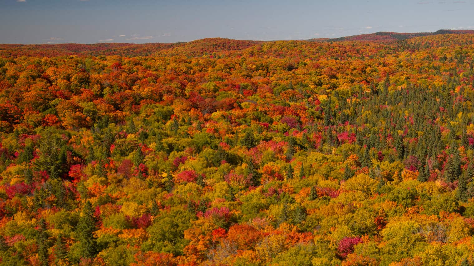 Muskoka Tourism's Fall Driving Tours - Discover the Best Fall Driving Tours