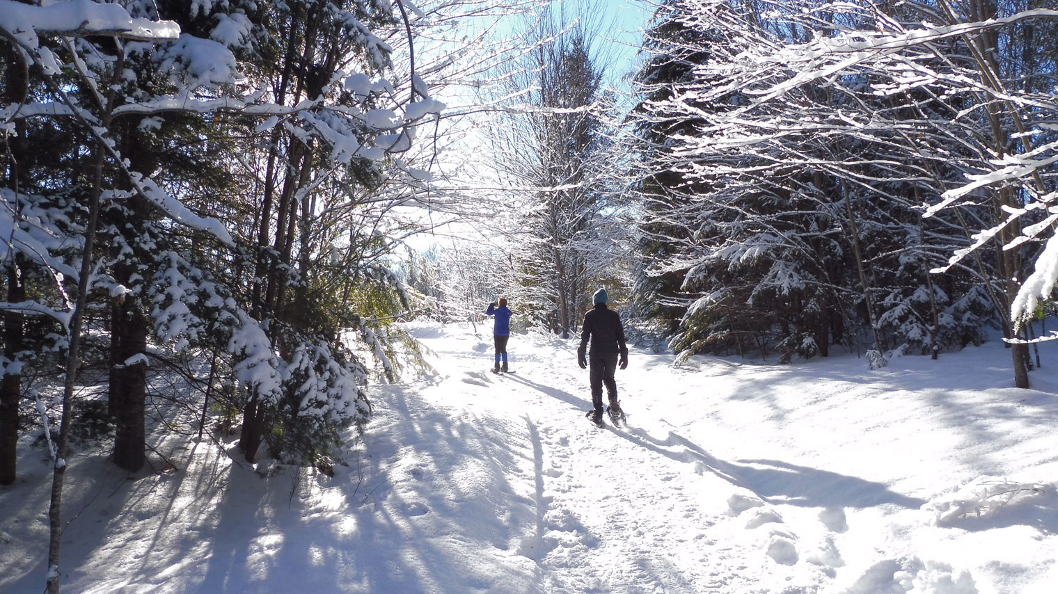 Top 10 Must-Do Winter Activities in Muskoka