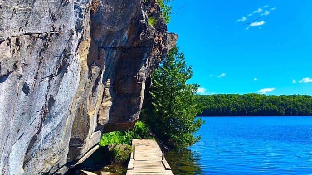 Limberlost Forest & Wildlife Reserve - Discover Muskoka: Plan Your Trip
