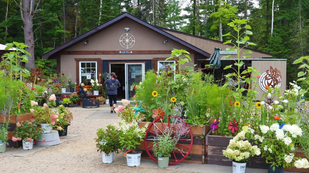 Prepare to be Bewitched by Beautiful, Beautiful Baysville - Discover ...