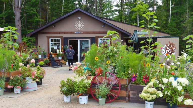 Prepare to be Bewitched by Beautiful, Beautiful Baysville - Discover ...